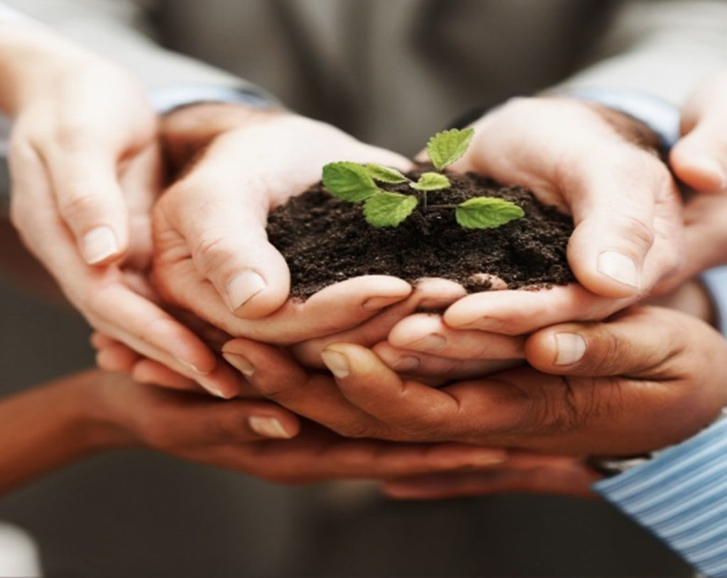 Social care and environment – Sperry Plast Ltd